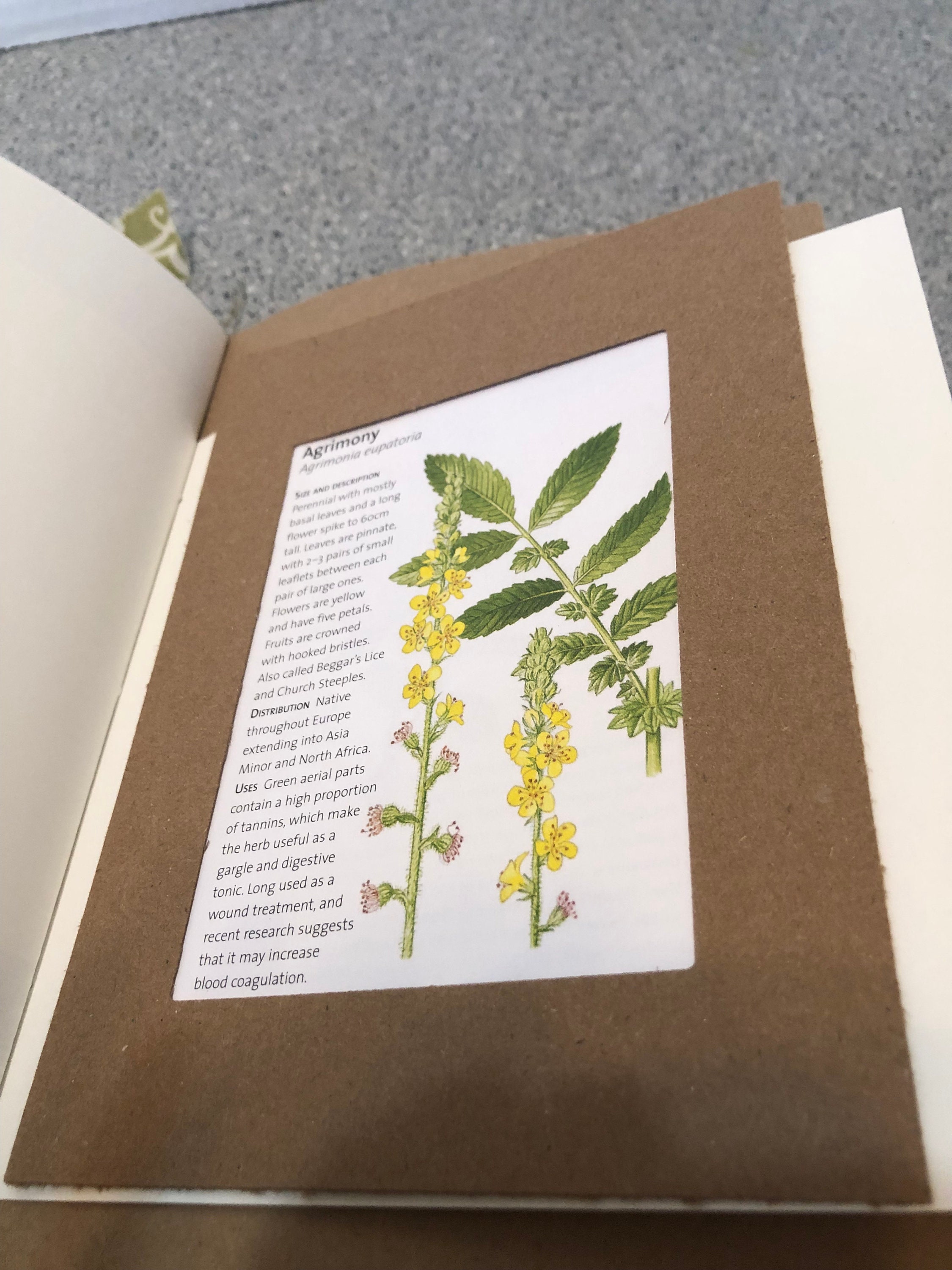 Pamphlet Journal With Post Hitch Closure - Etsy