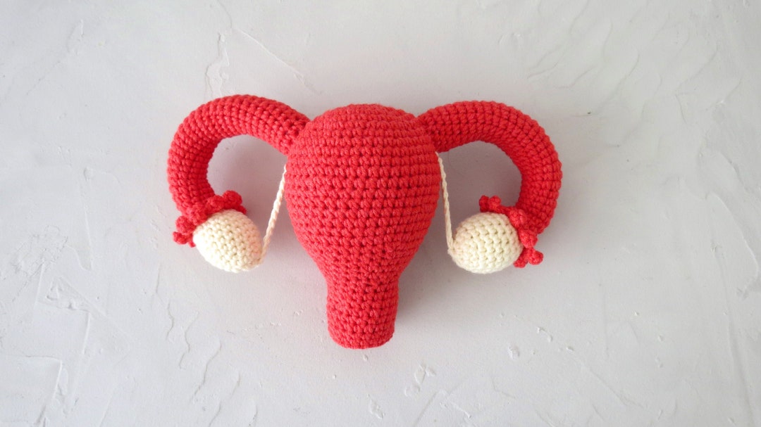 Crochet Plush Uterus With Ovaries Funny Gift for Midwife Doula ...