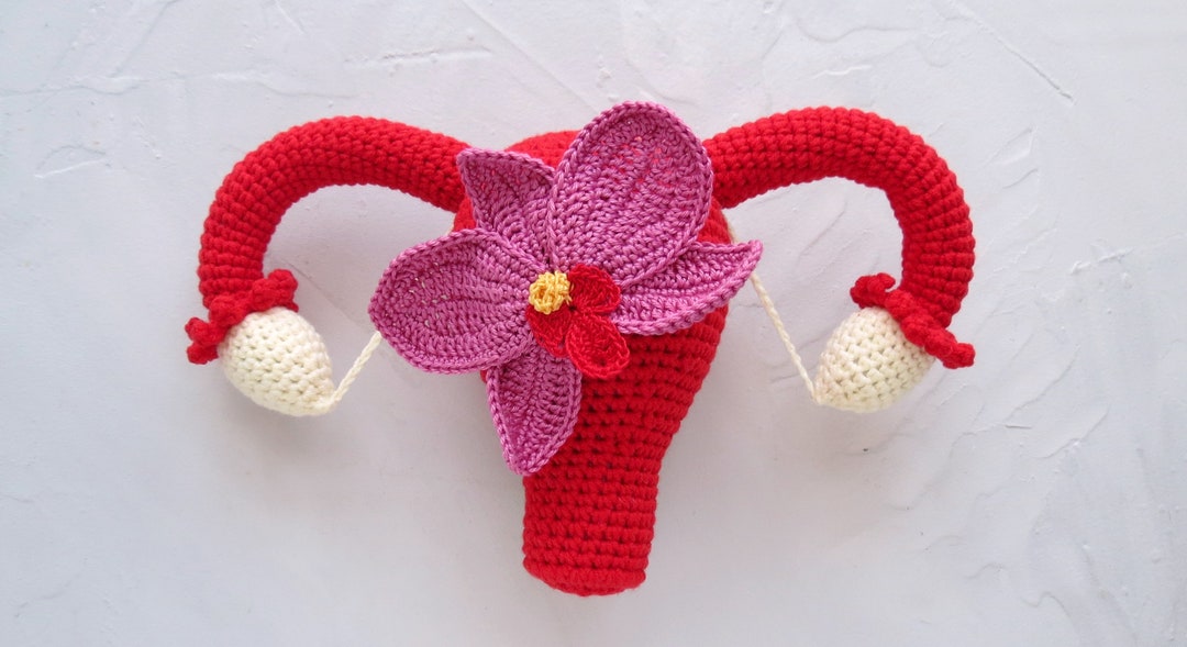 Plush Uterus and Vagina Gift for Midwife Doula Gynecologist Crochet ...