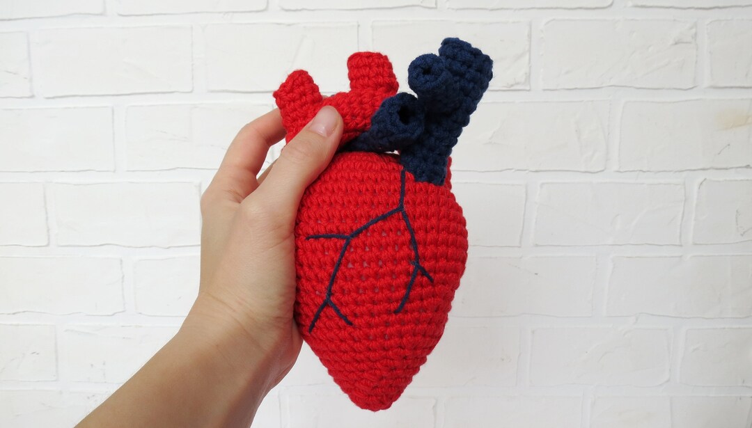 Realistic Human Heart Valentines Day Gift for Doctor Anatomical Crochet ...