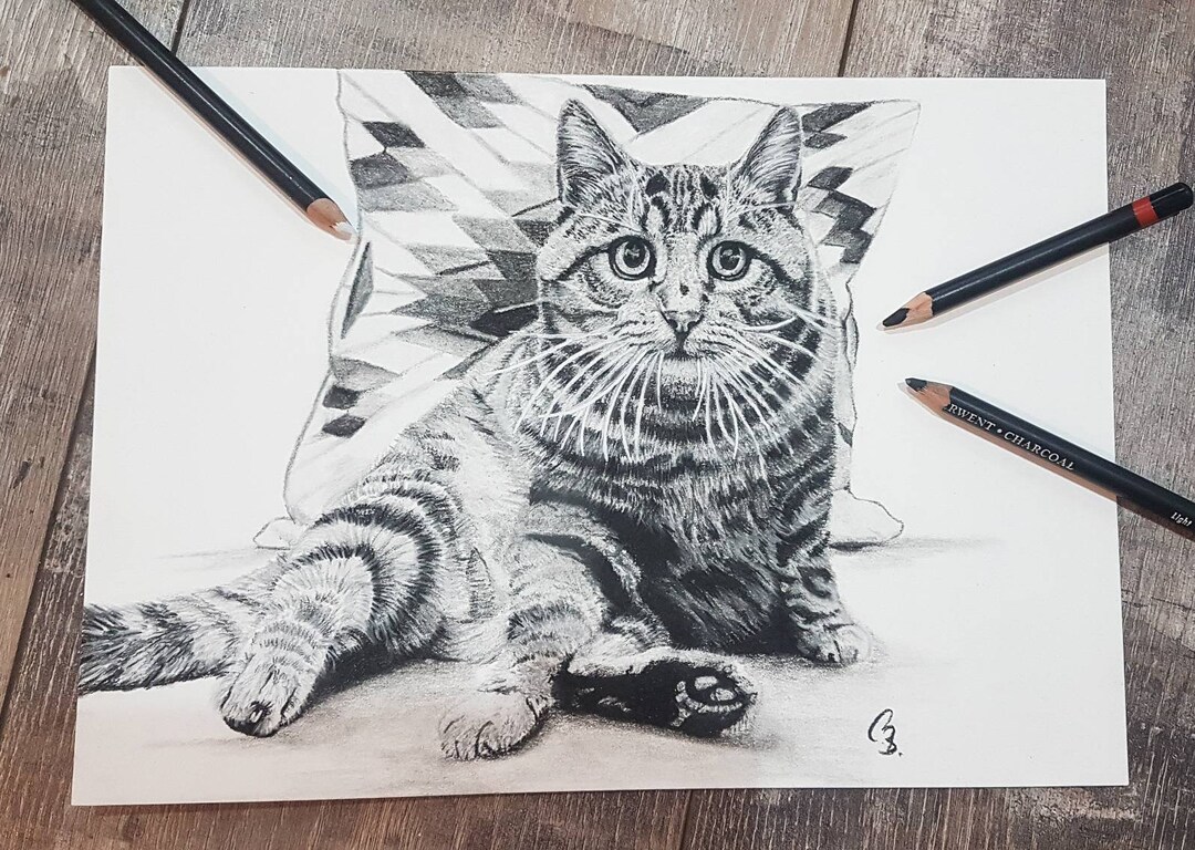 Animal Portrait Drawing Photo Template, Portrait Drawing Pencil, Custom ...