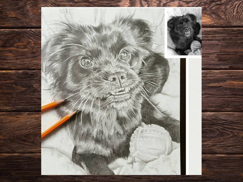 Animal Portrait Drawing Photo Template, Portrait Drawing Pencil, Custom ...