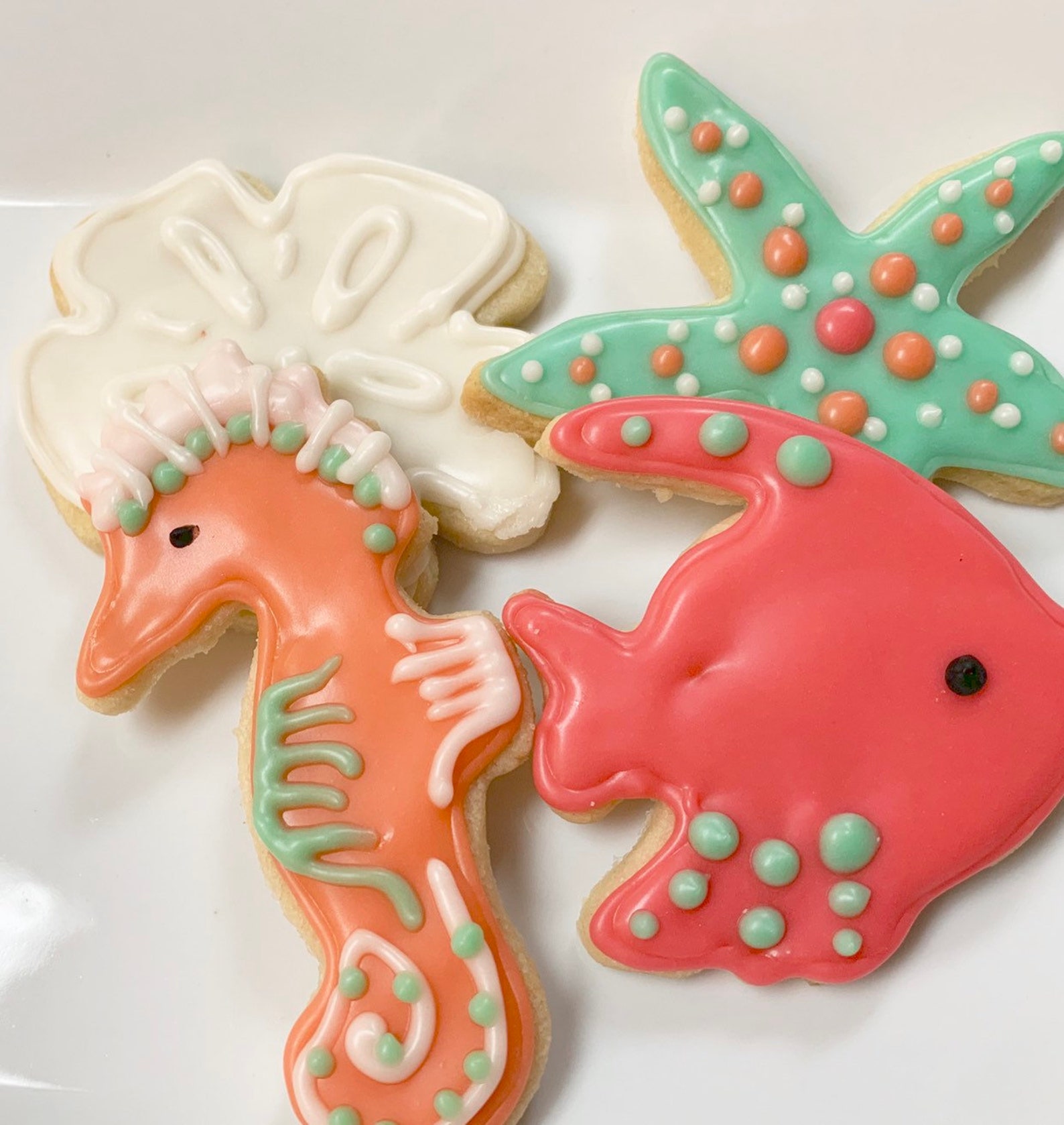 Bridal Shower Cookies Beach Theme Sea Life Cookies Seahorse | Etsy