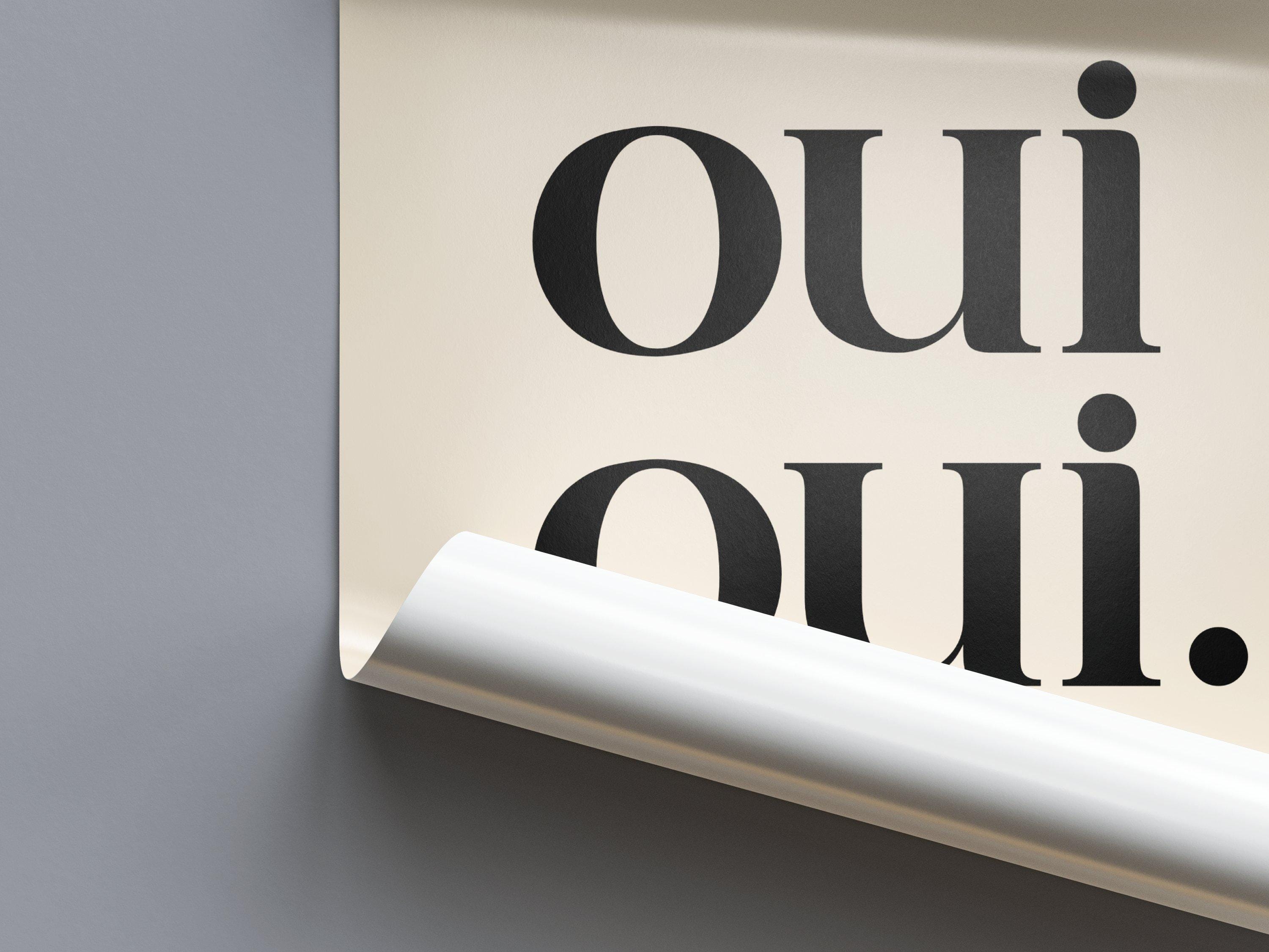Oui Oui Print | French Quote Poster | Cheeky Toilet Poster | Minimalist ...