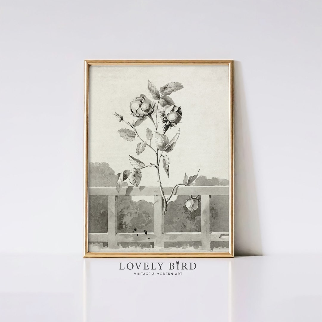 PRINTABLE Rose Drawing Wall Art, Neutral Flower Sketch DIGITAL Download ...