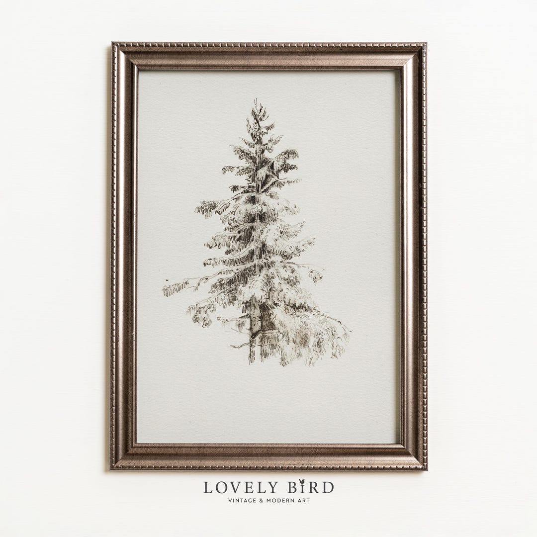 Spruce Tree Painting DIGITAL Download, Tree Sketches Large Wall Art ...