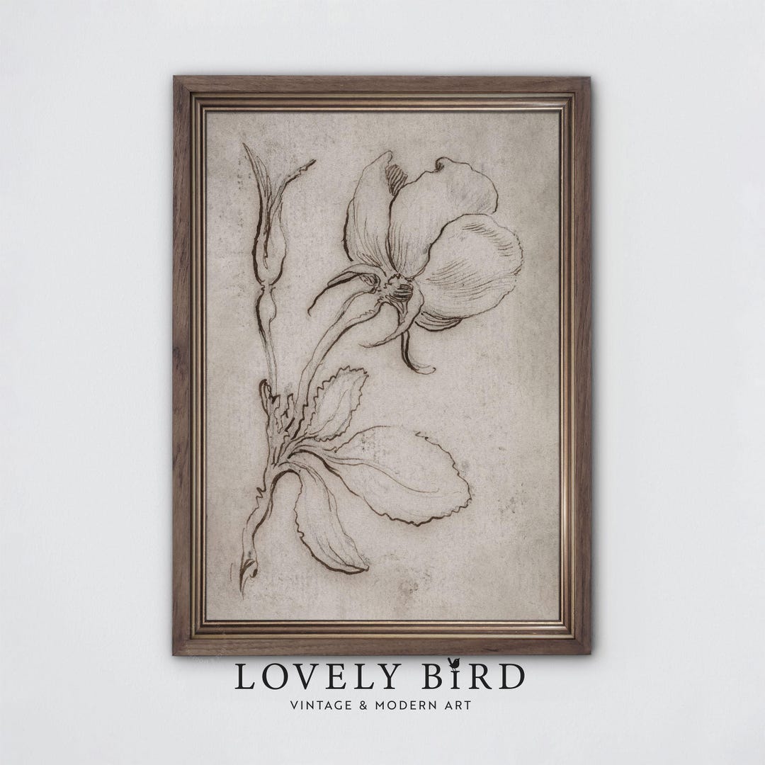 PRINTABLE Rose Sketch Wall Art, Flower Drawing Illustration DIGITAL ...