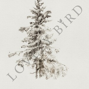 Fichte Skizze druckbare Poster, minimalistische Wand Kunst, sofortiger ...