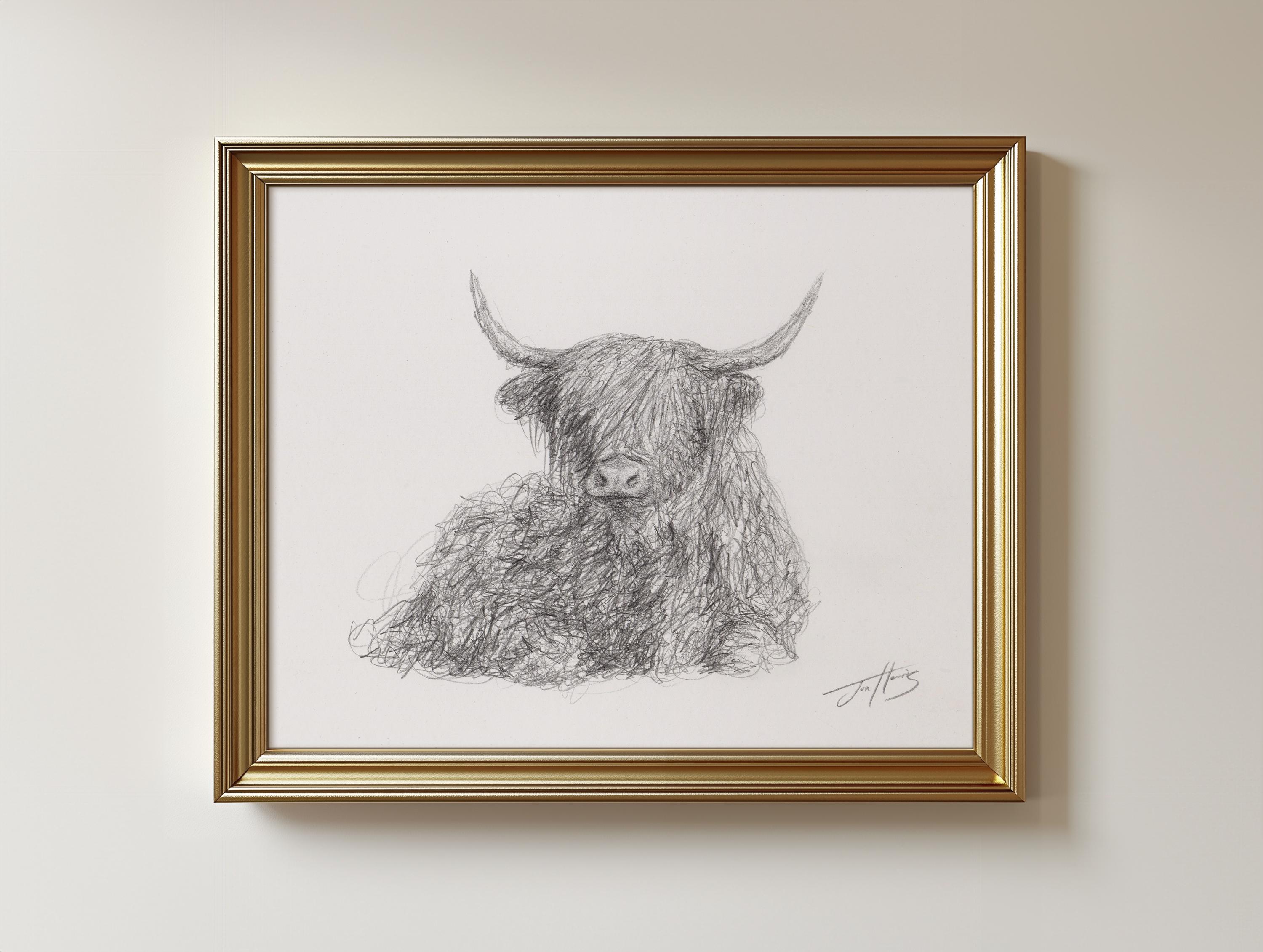 Original Highland Cow Pencil Drawing: Highland Cow Sketch Art, 8.5x11 ...
