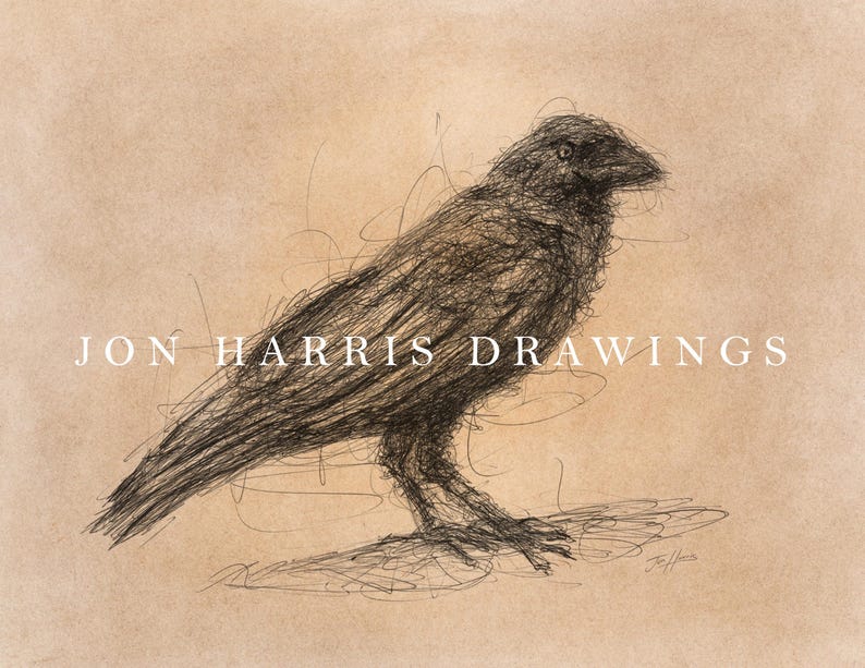 Vintage Crow Print: Antique Drawing Sketch, Biro Pen Artwork, (digital ...