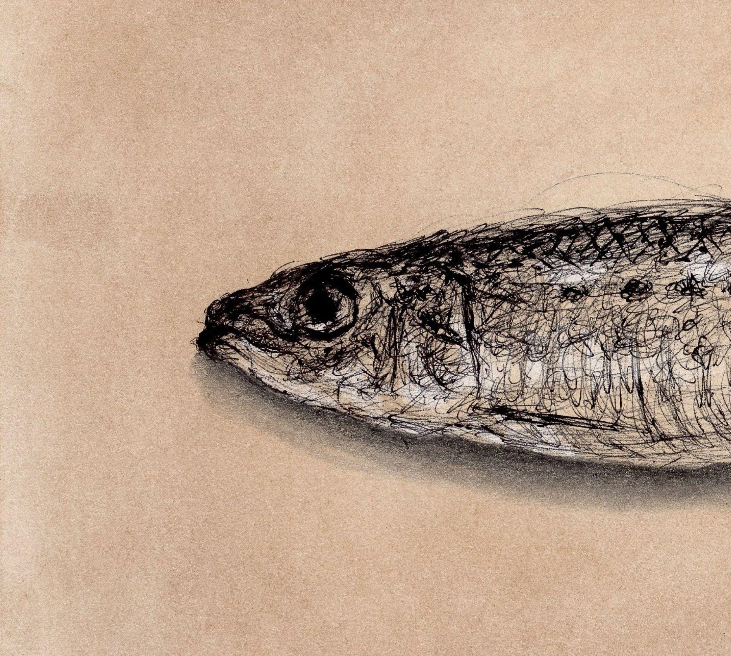 Vintage Sardine Drawing: Coastal Kitchen Pen Art Print (digital ...