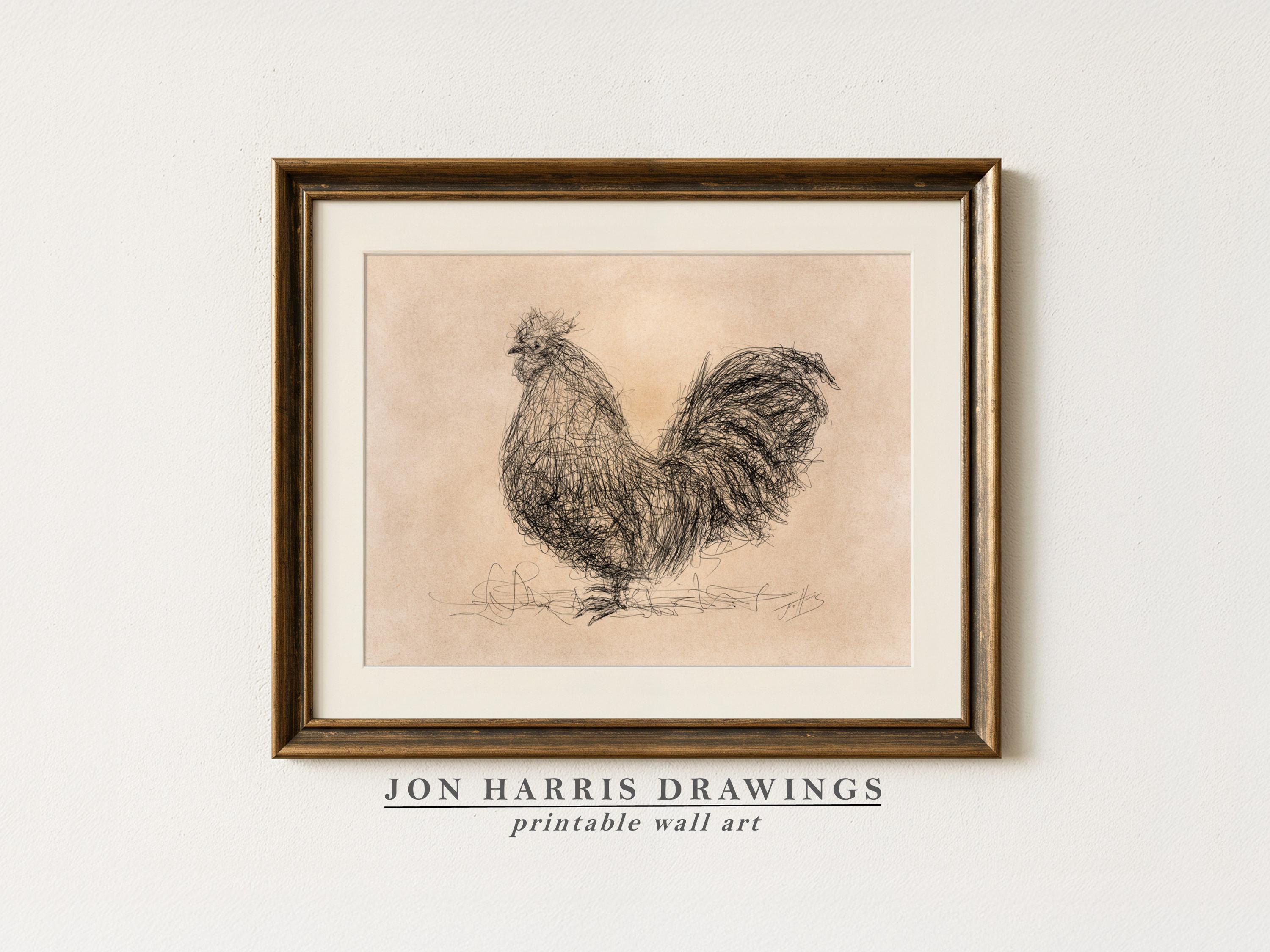 Vintage Cockerel Drawing Printable Wall Art: Antique Pen and Ink Sketch ...