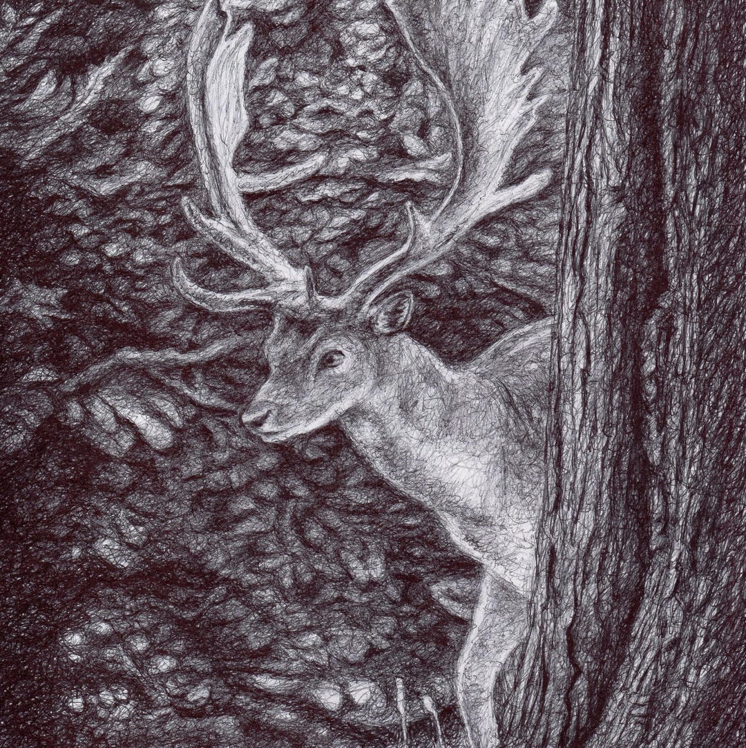 Original Deer Drawing, Animal Art, Biro Pen (8.5x11 In, Unframed) - Etsy