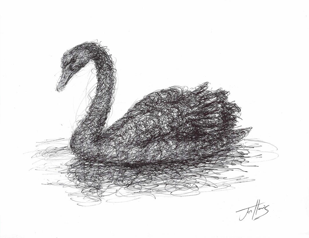 Original Black Swan Biro Pen Drawing - Unframed Swan Sketch Art - Etsy