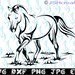 Horse Svg Stallion Svg Horse SVG Silhouette Cut File | Etsy