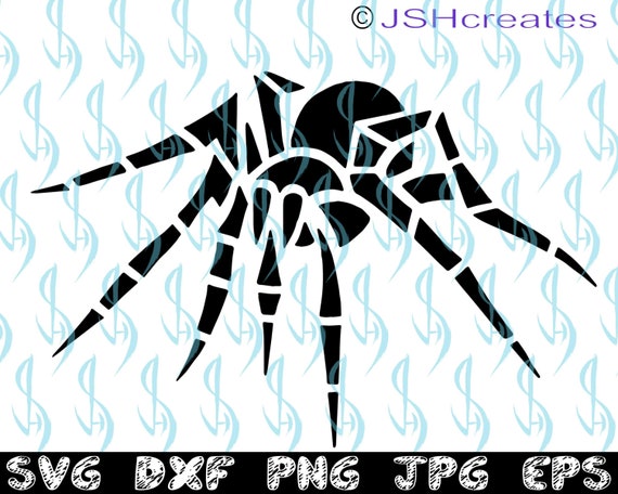 Spider svg Tarantula svg SVG clipart decal eps dxf | Etsy