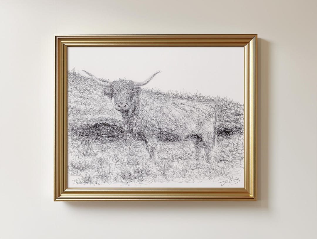 Original Highland Cow Biro Pen Drawing - Unframed Cow Sketch Art (8.5 X ...