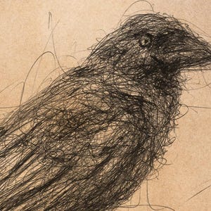 Vintage Crow Print: Antique Drawing Sketch, Biro Pen Artwork, (digital ...