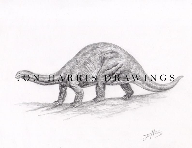 Original Dinosaur Drawing Sketch: Brontosaurus Art, Graphite Pencil (8 ...
