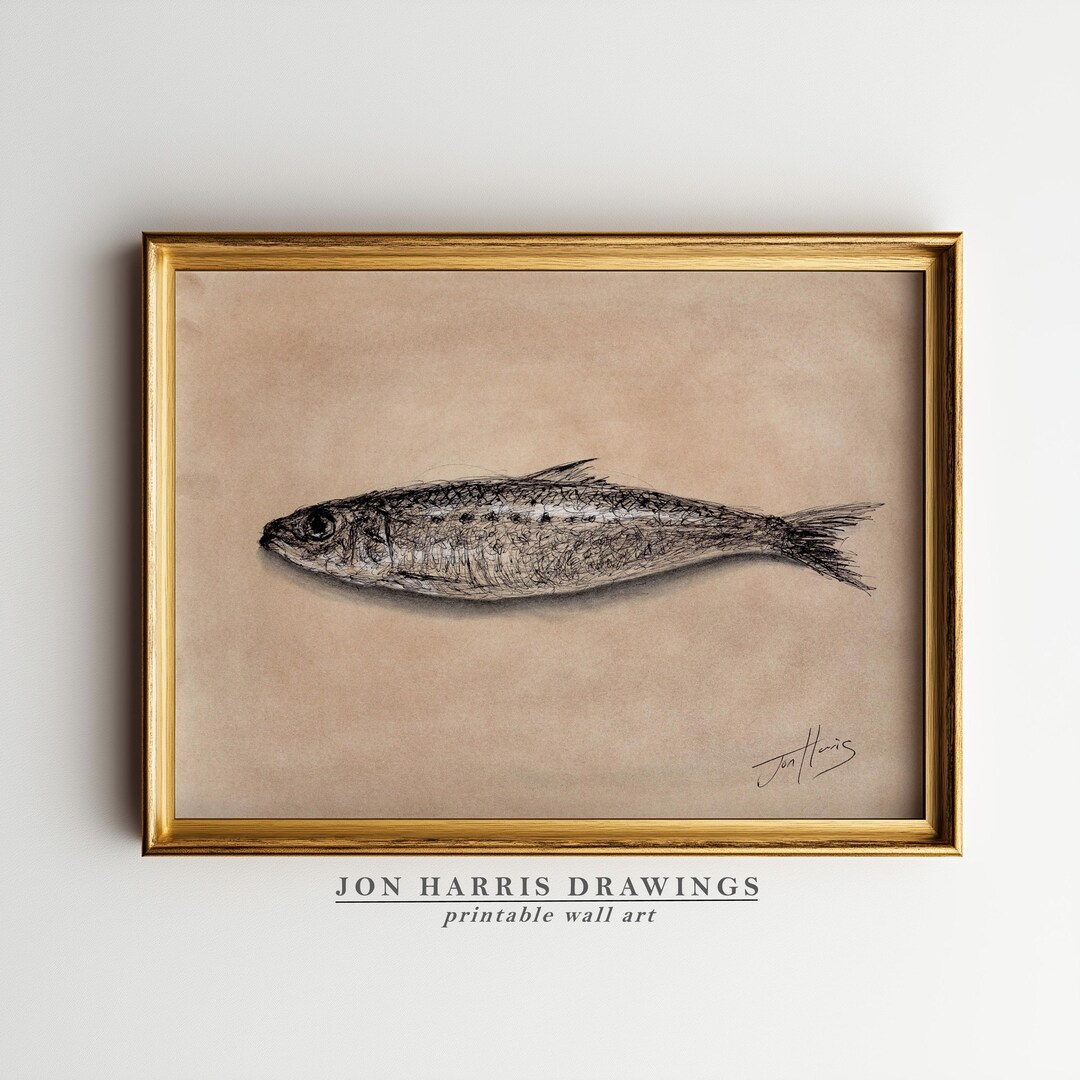 Vintage Sardine Drawing: Coastal Kitchen Pen Art Print (digital ...