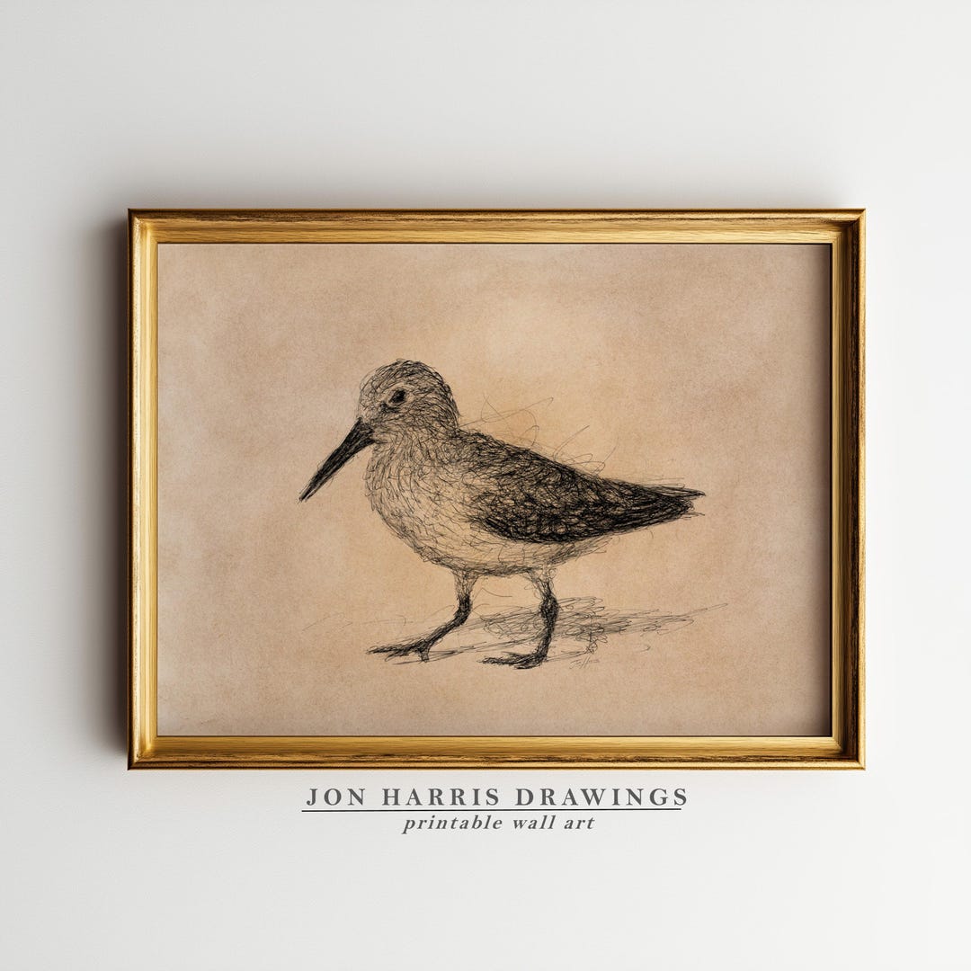 Dunlin Bird Printable Wall Art: Pen & Ink Beach House Decor (digital ...