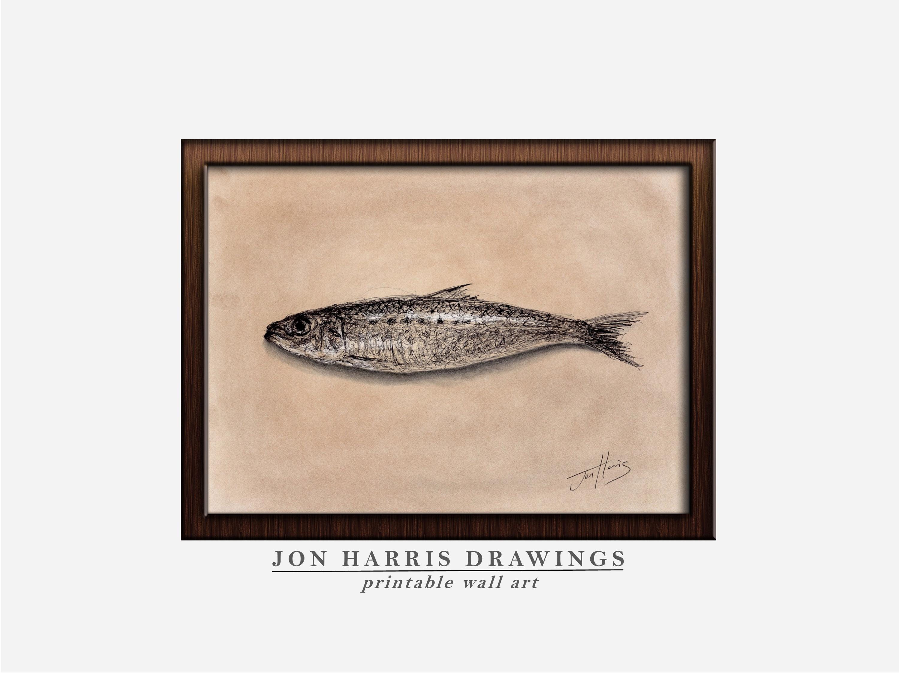 Vintage Sardine Drawing: Coastal Kitchen Pen Art Print (digital ...