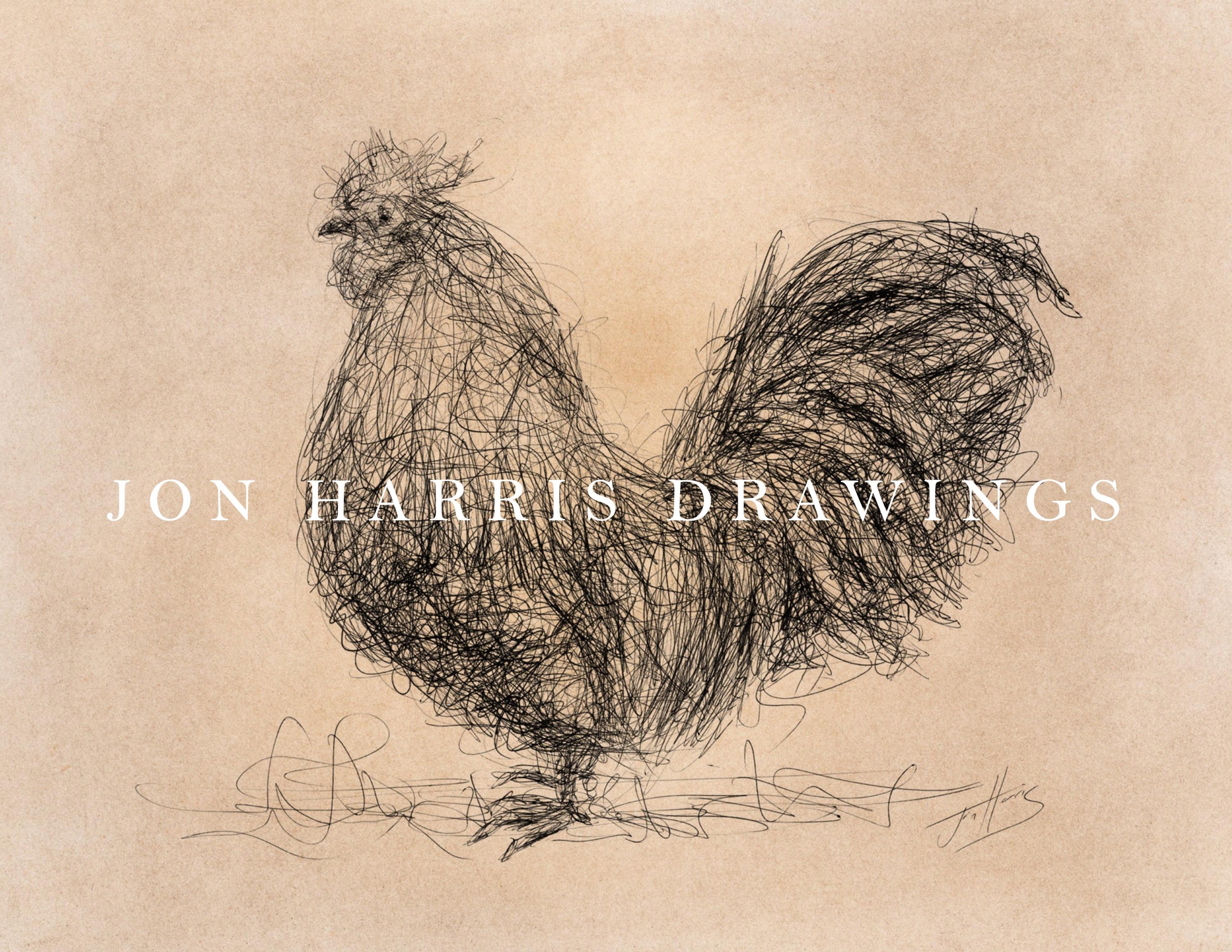 Vintage Cockerel Drawing Printable Wall Art: Antique Pen and Ink Sketch ...
