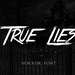 True Lies Handwritten Horror Font, Brush Font, Display Font, Signature ...