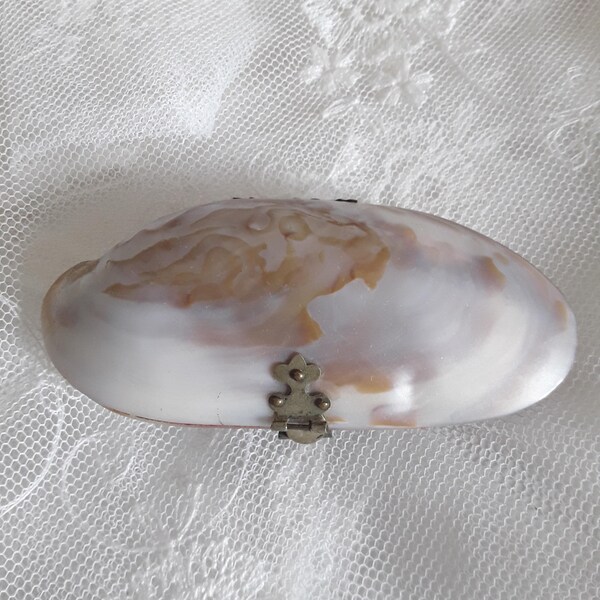 Antique Shell Purse - Etsy