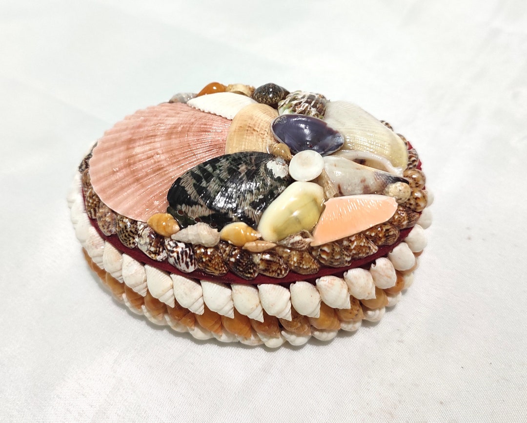 Oblong-shaped Mixed Sea Shells Jewelry Box Made in Philippines, Shell ...