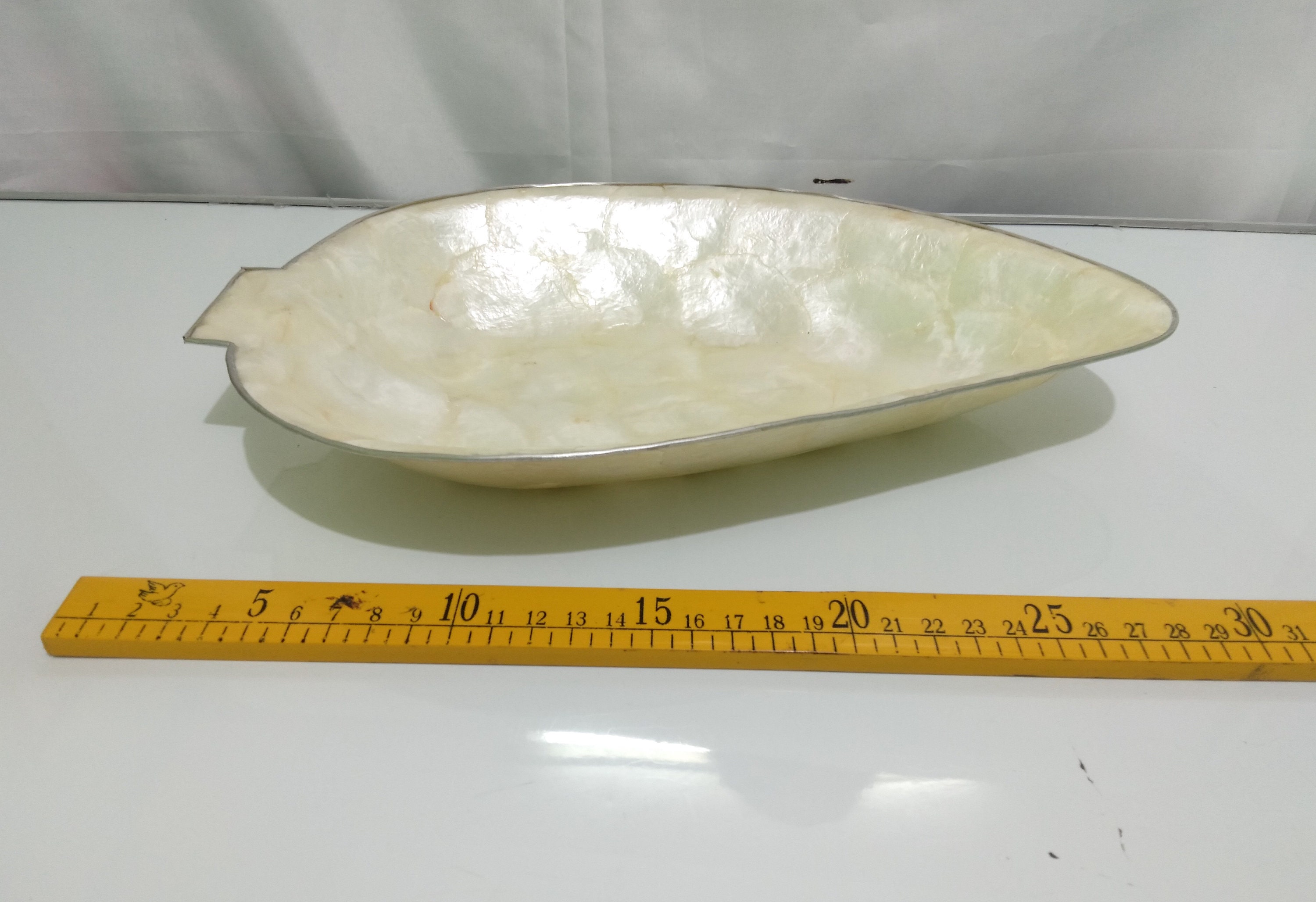 Capiz Shell Trays Mango-shaped Capiz Plate Set Made in | Etsy