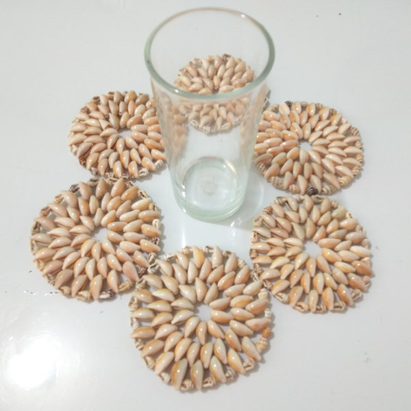 Sea Shell Coasters - Etsy