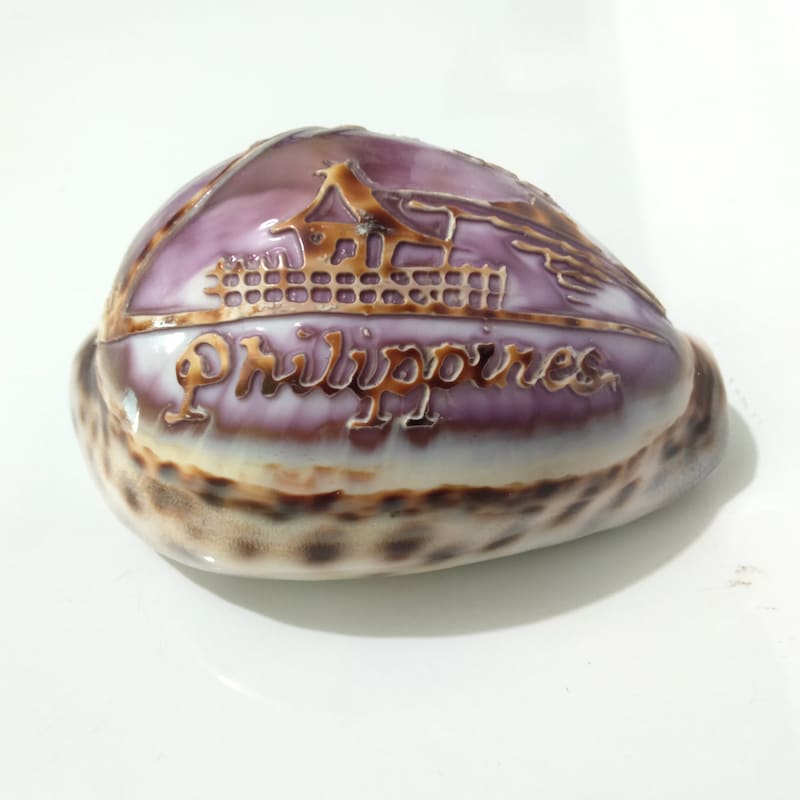 Shell Souvenirs - Etsy