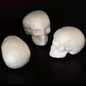 White Styrofoam Skulls 5.5cm - 10 Pack - Halloween Polystyrene Foam Shapes - DIY Craft - Etsy