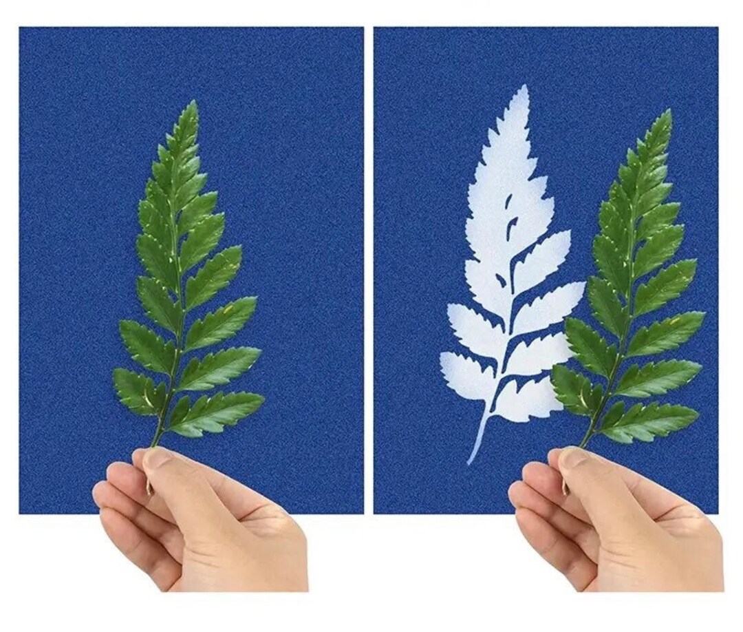 Sun Print Paper - Light Sensitive Paper - Solar Printing - Outdoor ...