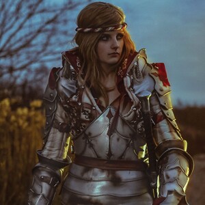 Saskia Inspired Armor Cosplay the Witcher Costume - Etsy
