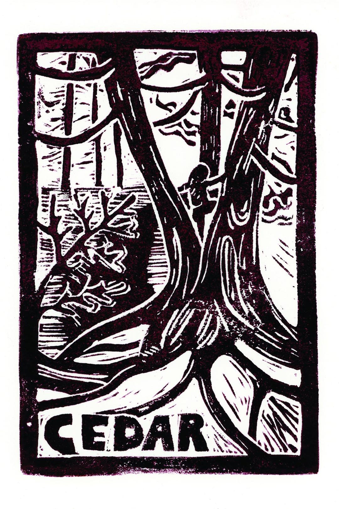 Cedar Print - Etsy