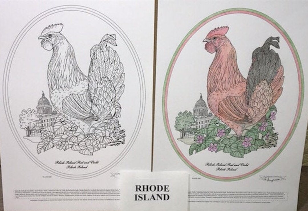 Rhode Island Black Line Drawing Limited Edition Bundle - Etsy