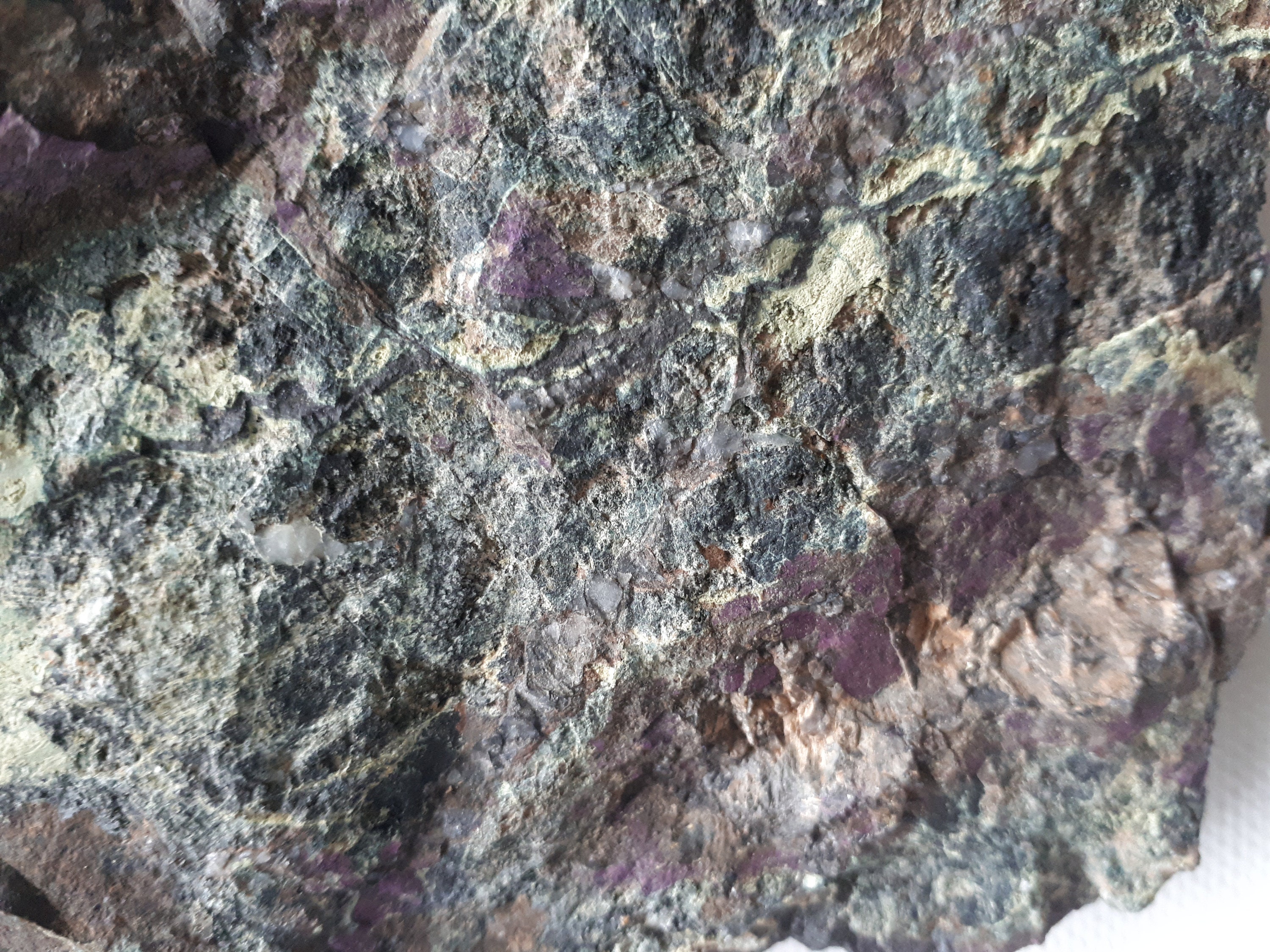 Collectible Stichit in Serpentine - Etsy UK