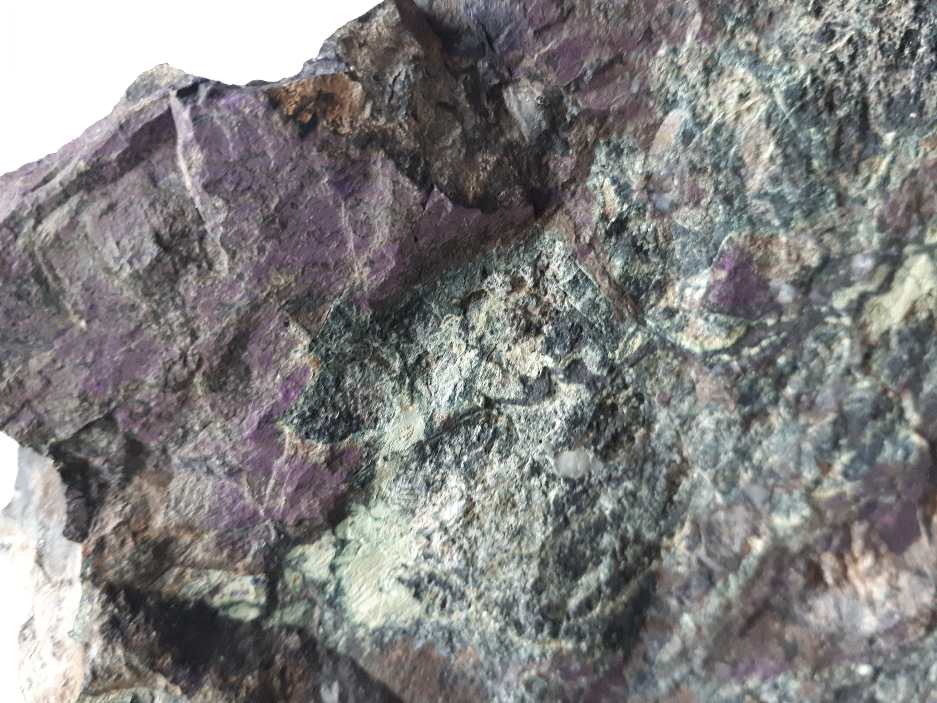 Collectible Stichit in Serpentine - Etsy UK