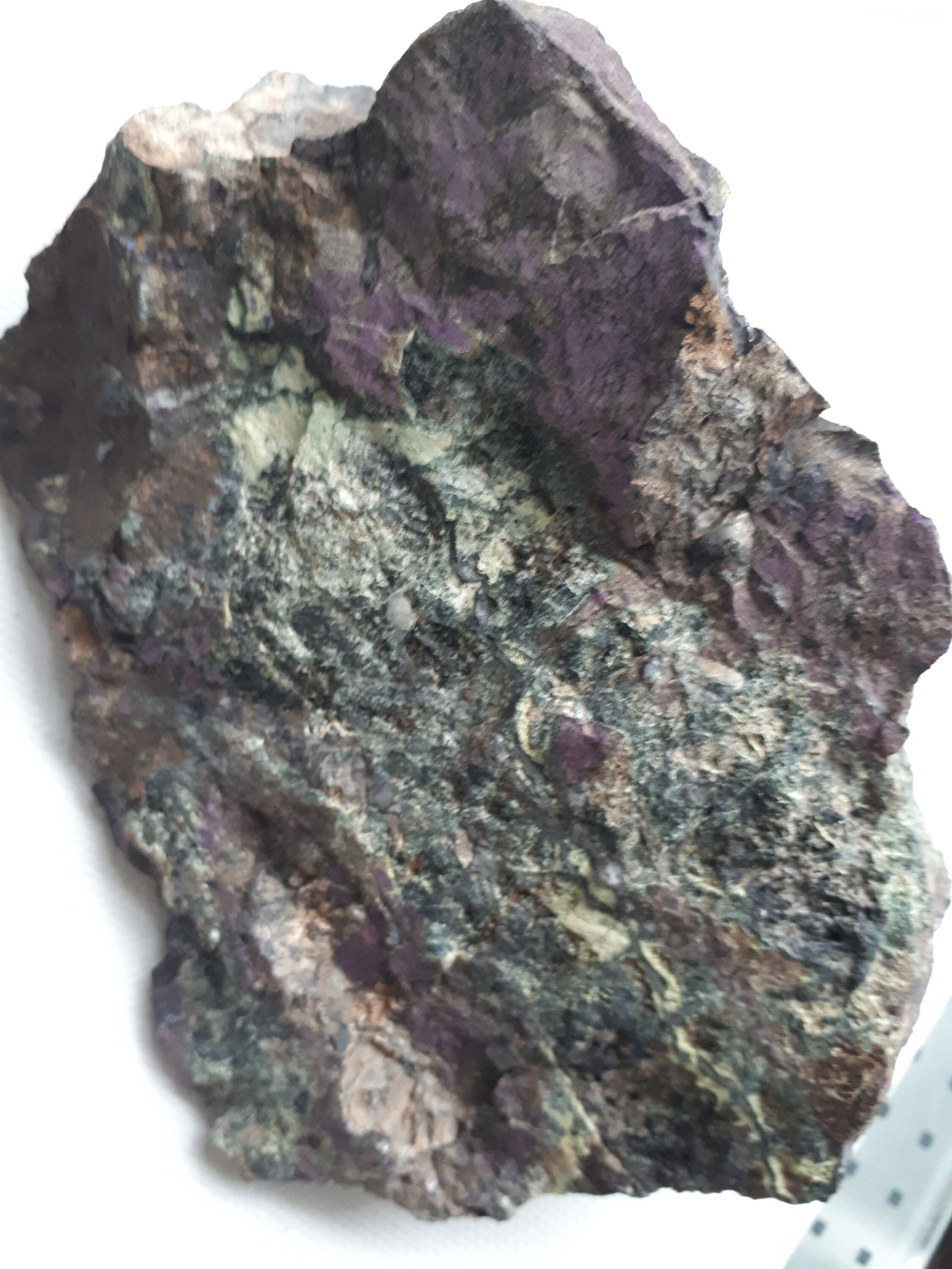 Collectible Stichit in Serpentine - Etsy UK