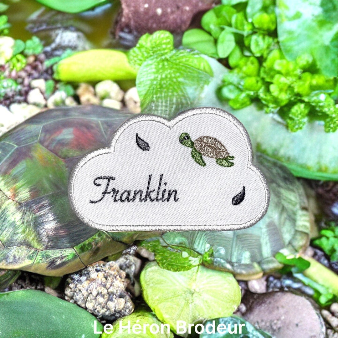Turtle in a Cloud. Silky Thread Embroidered First Name - Etsy