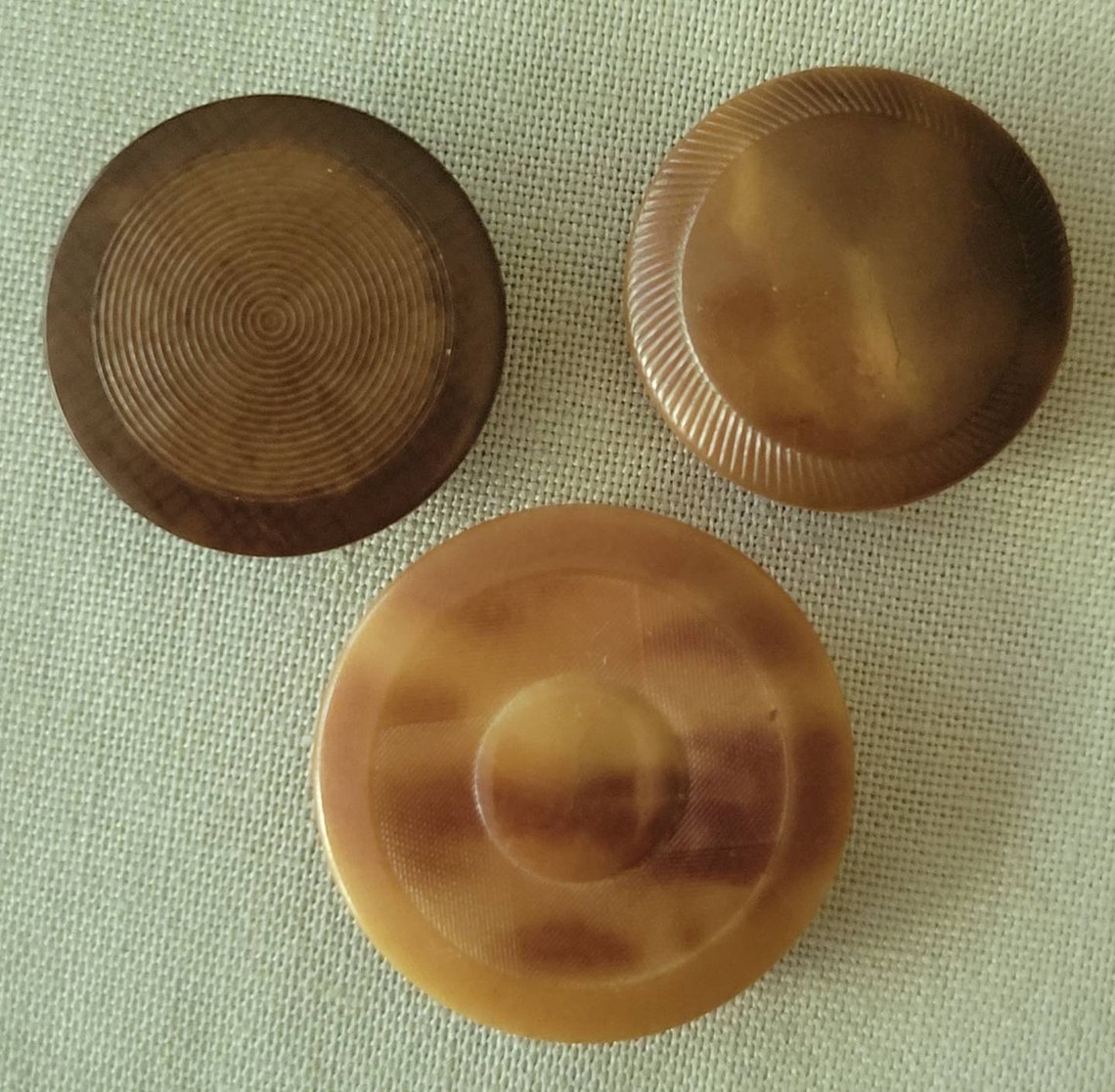 Vintage Buttons Three 3 Vegetable Ivory 3/4 - Etsy