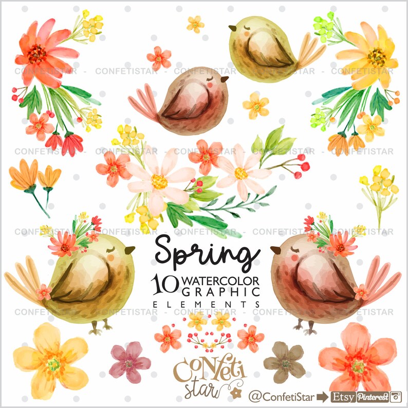 Spring Clipart Bird Clipart COMMERCIAL USE Spring Clip Art - Etsy