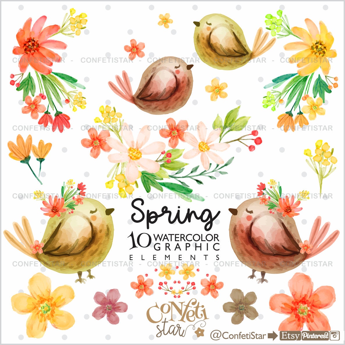 Spring Clipart Bird Clipart COMMERCIAL USE Spring Clip Art - Etsy