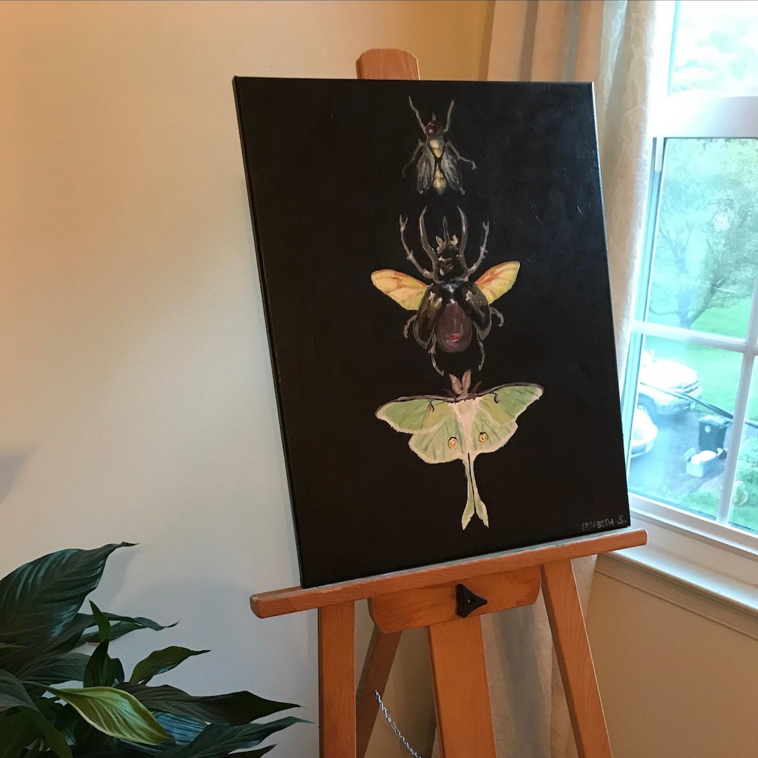 Beetle, Fly, and Luna Moth Original Artwork. Acrylic on Canvas - Etsy