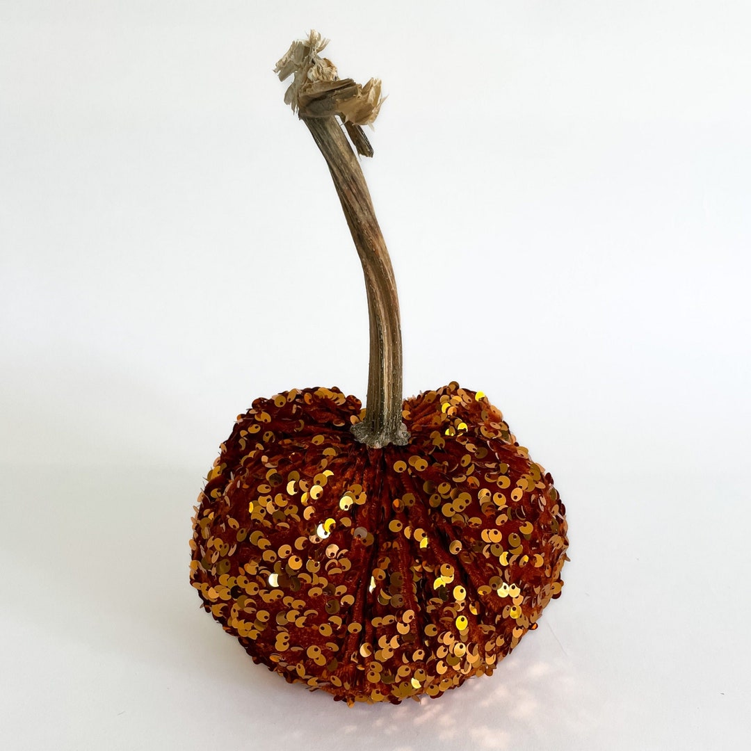 Sequin Embellished Pumpkin in Rust With Real Stem, Fall Decor,sold ...