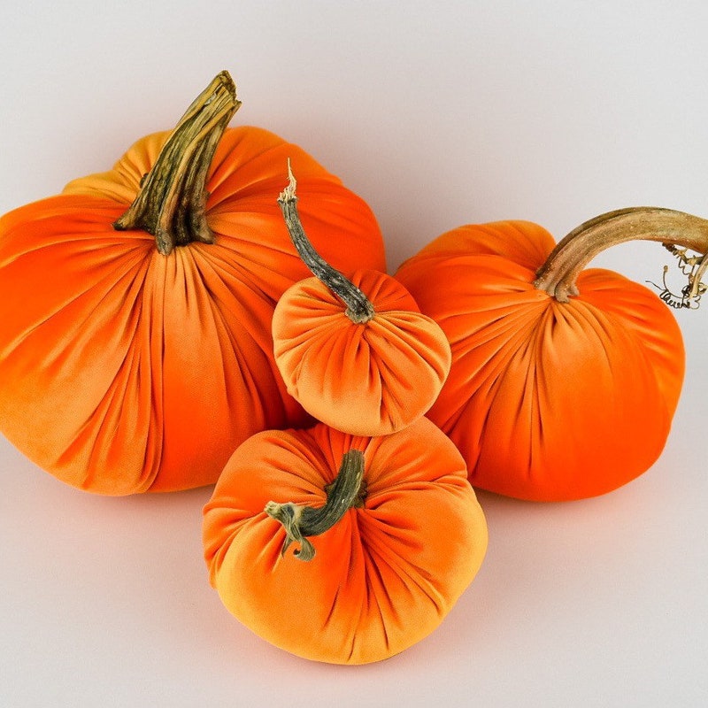 Velvet Pumpkin - Etsy