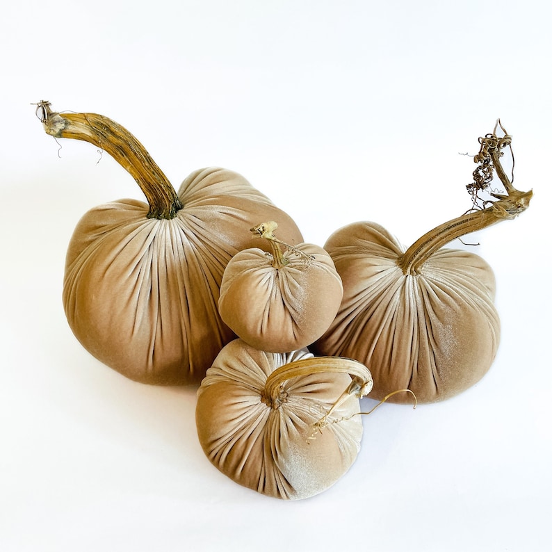 Sand Velvet Pumpkins, Real Stems, Handmade Fabric Pumpkin, Entry Bowl ...