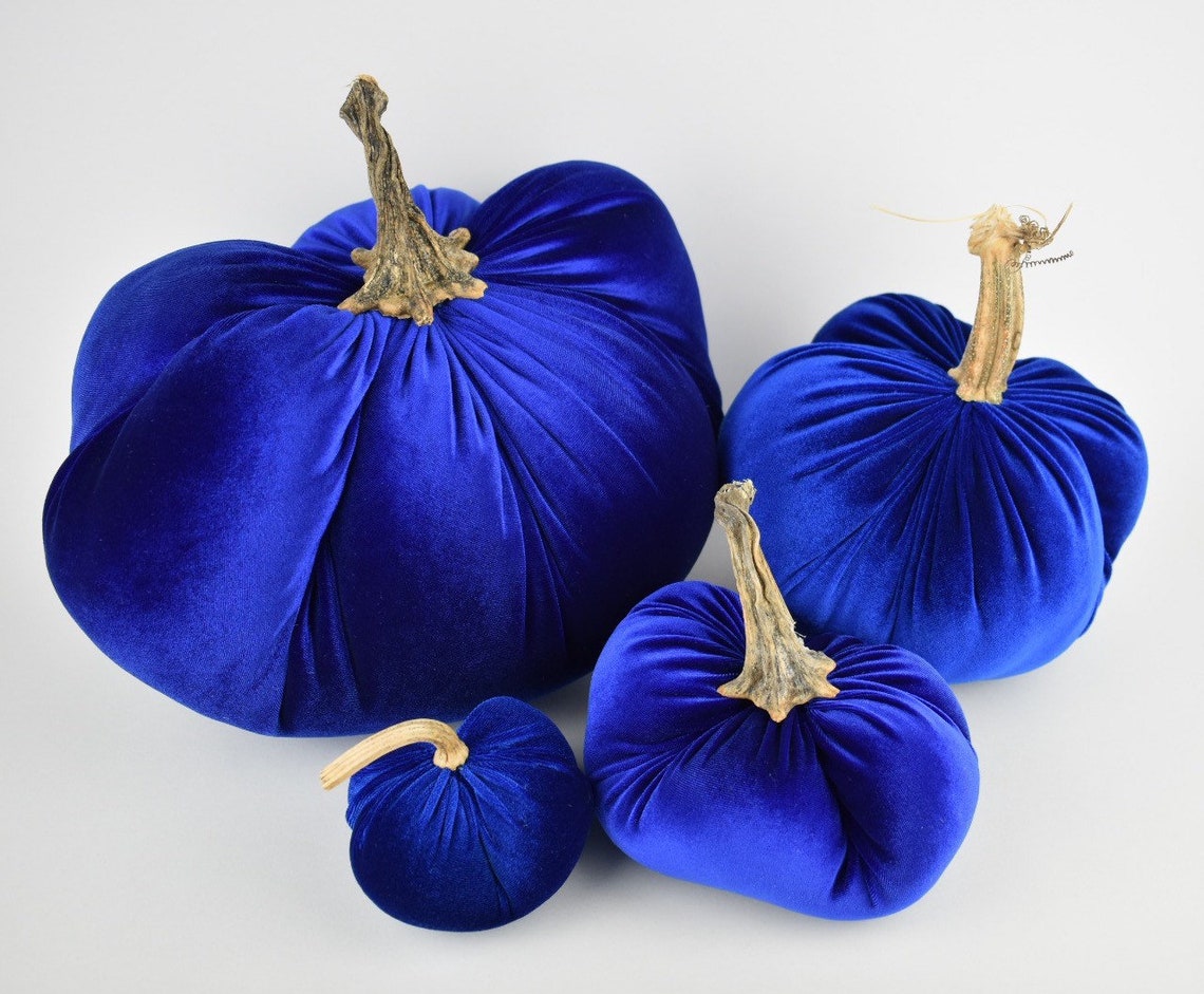 Velvet Pumpkin in Royal Blue With a Real Stem - Etsy